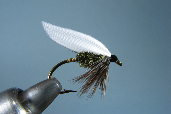 Coachman Wet Fly